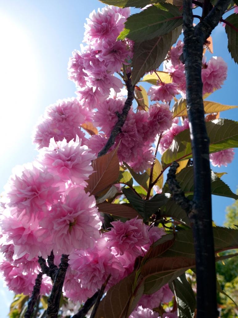 spring – Matt Wallaert